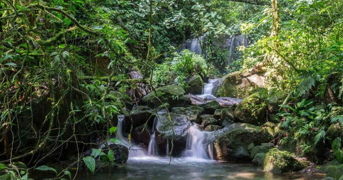 Arenal’s Hidden Waterfalls.