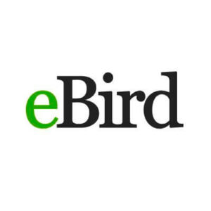 Birdwatching Tours | Arenal Observatory Lodge & Trails