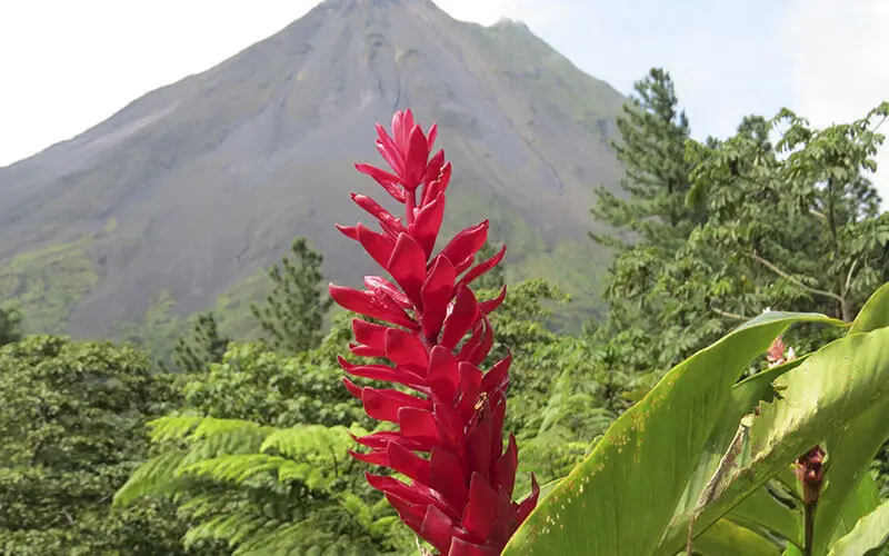 Nature-Focused Costa Rica Vacations in Arenal